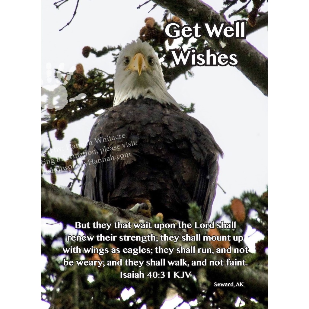 Eagle (CARD-0030) - 10 Cards - Hannah’s Handiwork