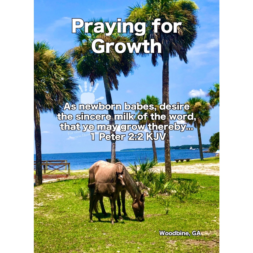 Category: New Converts - Hannah's Handiwork