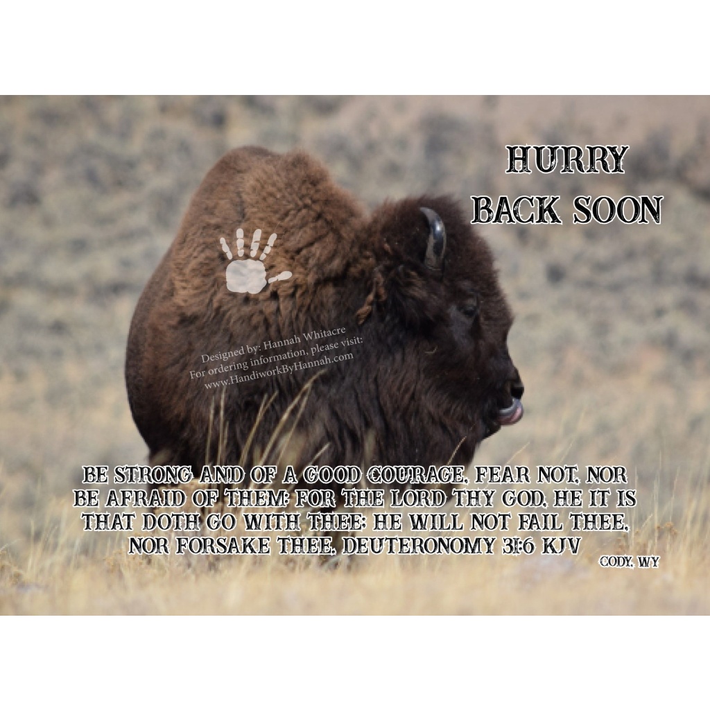 Buffalo (CARD-0043) - 10 Cards - Hannah's Handiwork