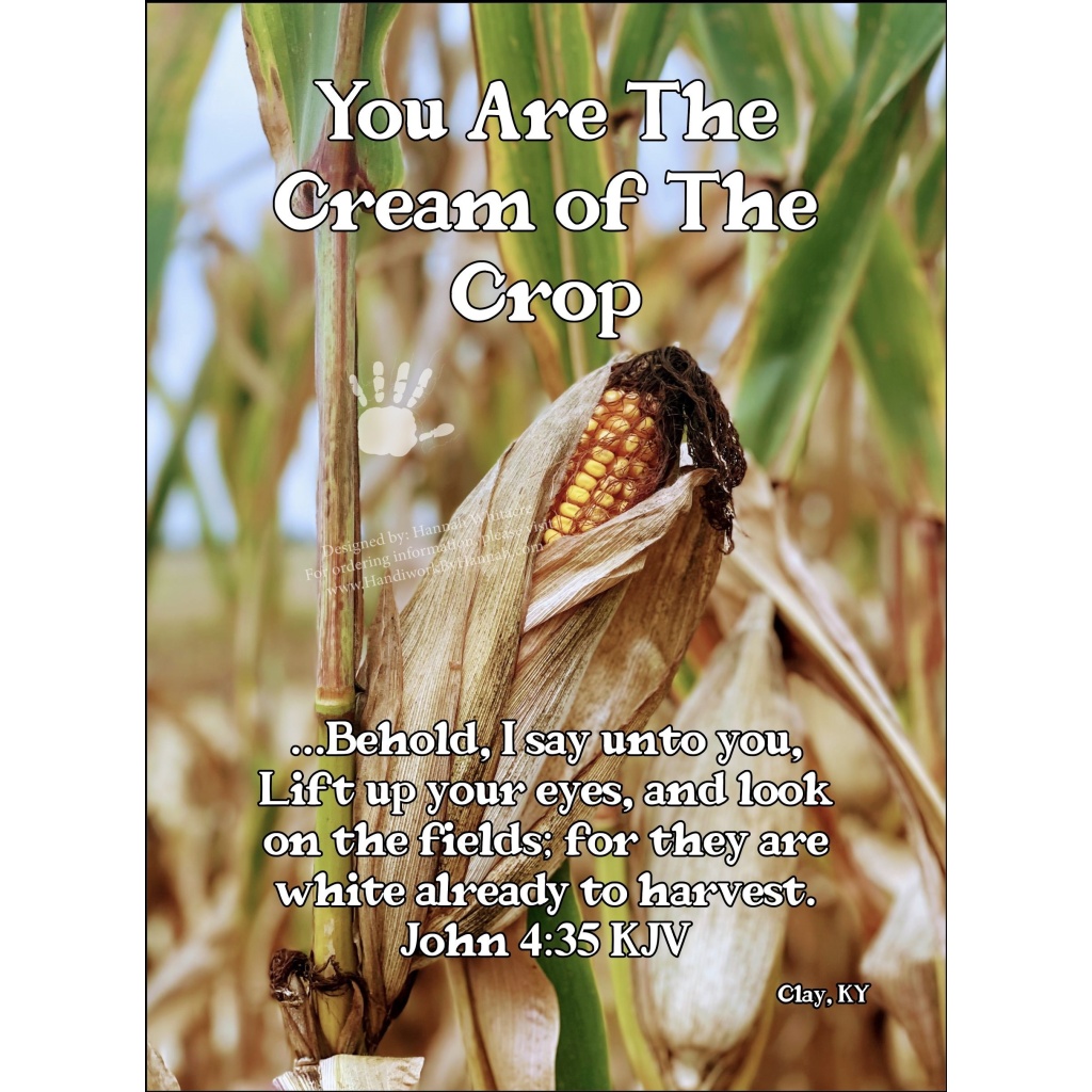 Corn (CARD-0110)- 10 Cards - Hannah’s Handiwork